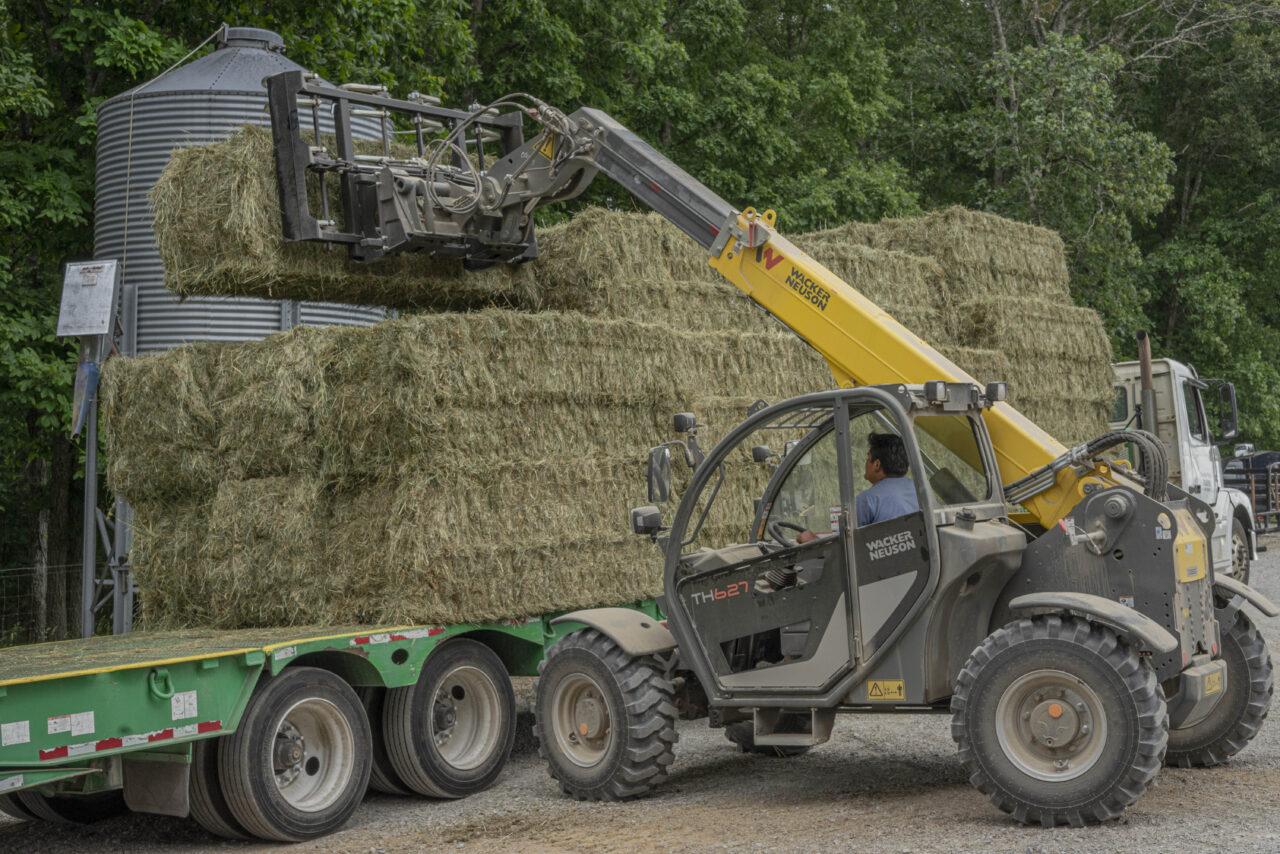 Delivery | Hey Hay Farms